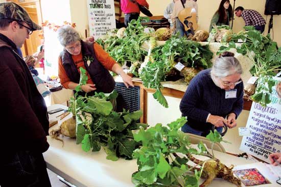 The ‘Gilfeather’ Turnip: A Vermont Heirloom Variety – Mother Earth Gardener